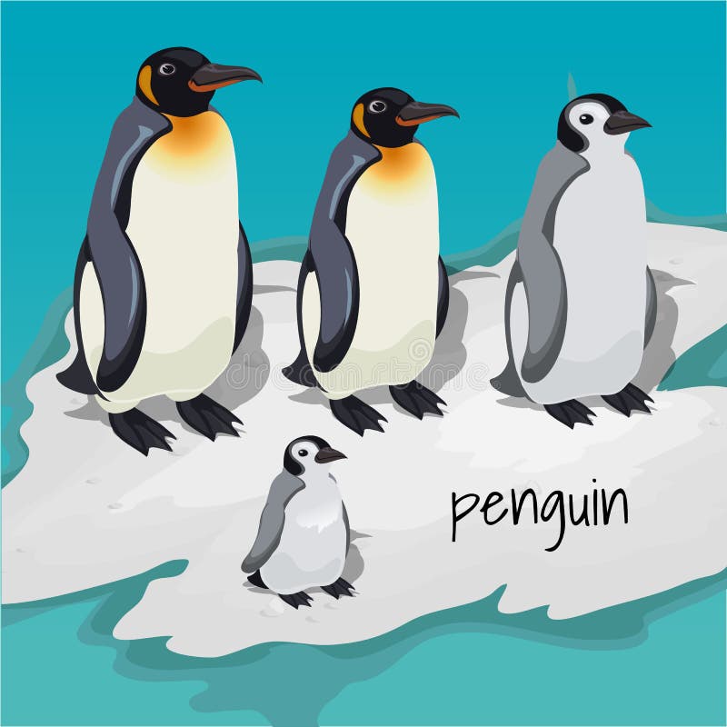 Three Big Penguins and One Little Penguin Stock Vector - Illustration ...