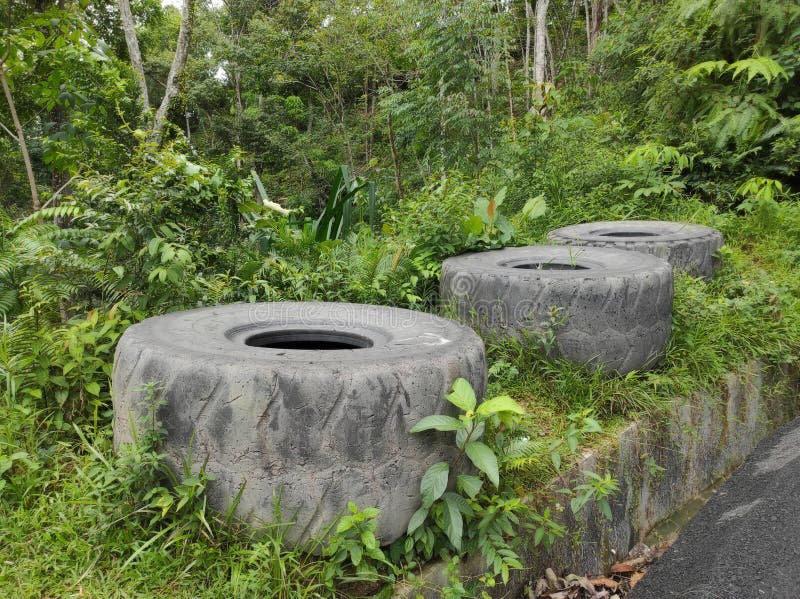 Three Big Tires Lying in the Grass Stock Photo - Image of wall, tires ...