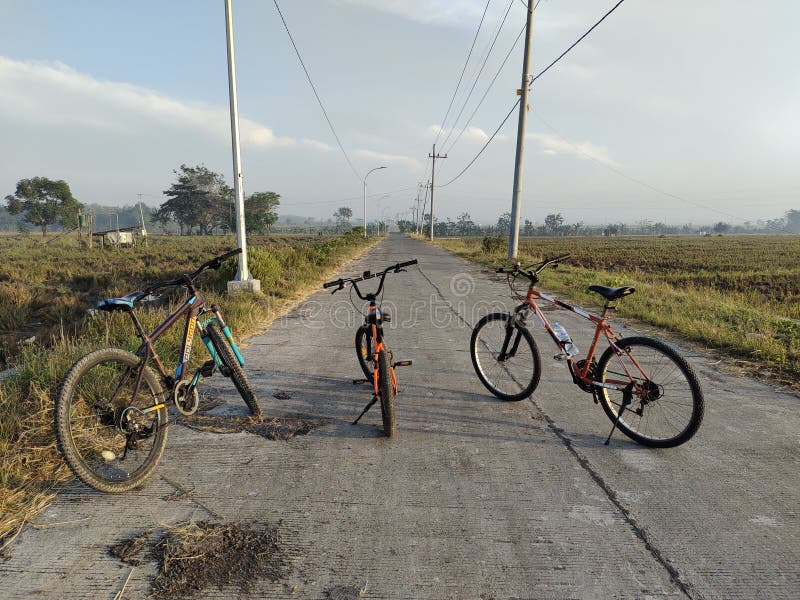 Three Bikes in the Middle of the Road Editorial Photo - Image of field ...