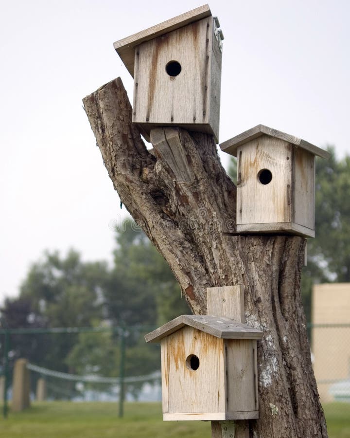 Three Bird Houses stock image. Image of summer, birdwatching - 5950489