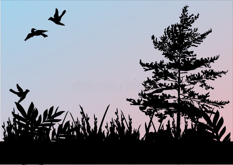 Grass and birds vector stock vector. Illustration of design - 3600364