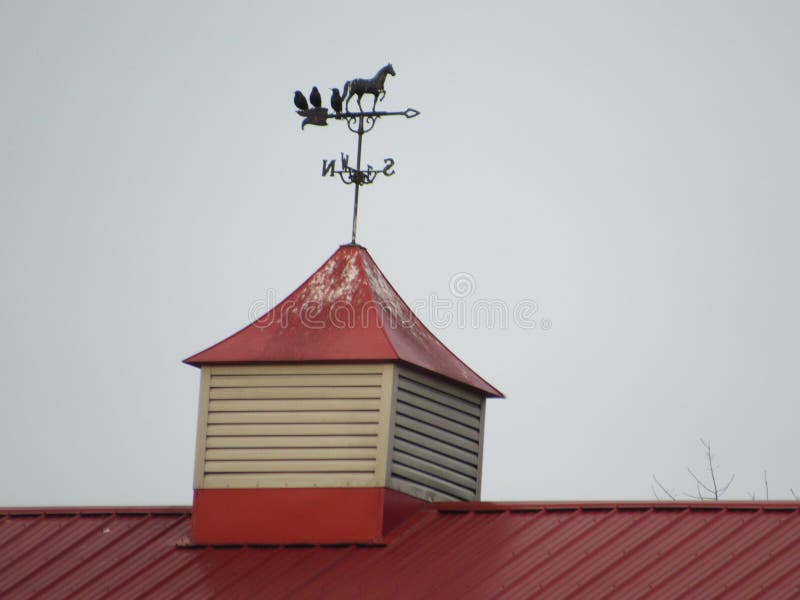 Three birds stock photo. Image of wood, perch, building - 270974202