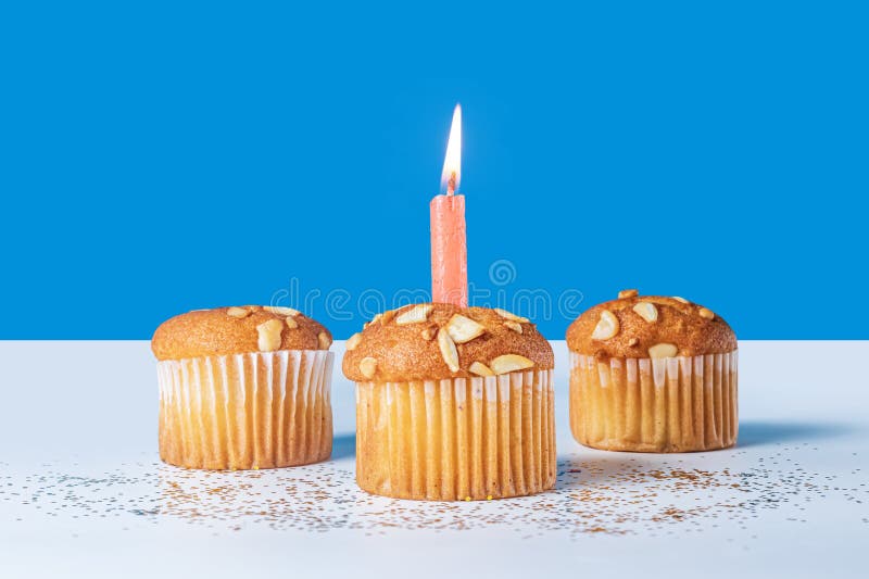 Three Birthday Cupcakes with Single Lit Candle on White Table on ...