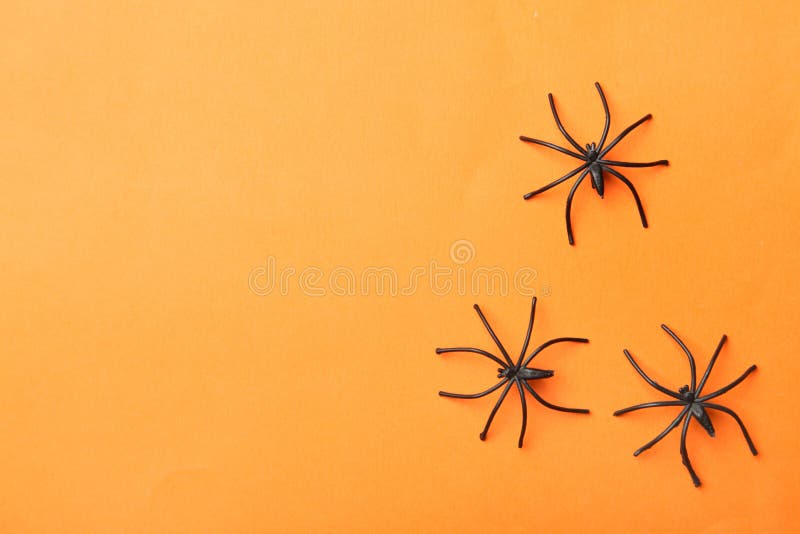 Three Spiders stock photo. Image of ecology, arachnophobia - 14934672