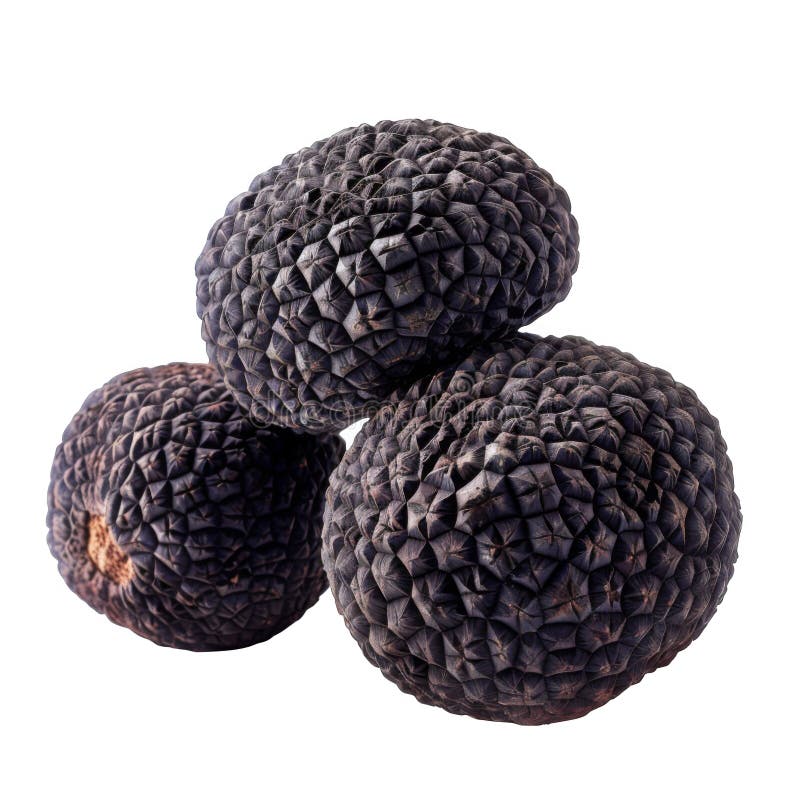 Three Black Truffles Isolated on a Black Background Stock Image ...
