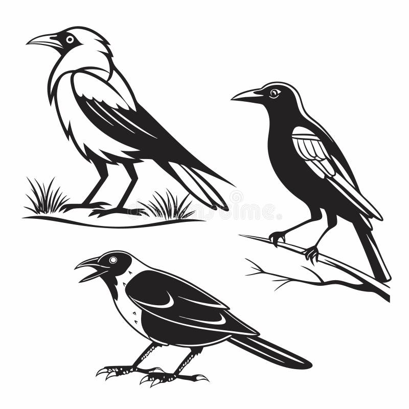 Magpies Stock Illustrations – 479 Magpies Stock Illustrations, Vectors ...