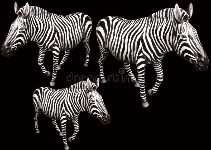 Zebra Hoof Print Stock Photos - Free & Royalty-Free Stock Photos from ...
