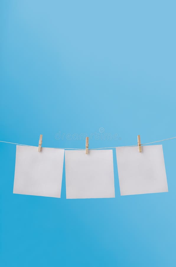 Bra Pegged on a Washing Line with Plants Growing in Them Stock Photo ...