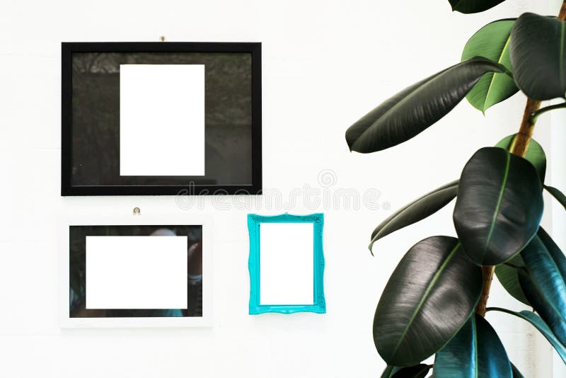 Three Blank Photo Frame on White Wall Background with Branch of Stock ...