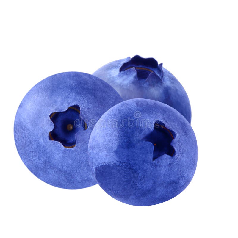 Three Blueberries Isolated on White Background Stock Image - Image of ...
