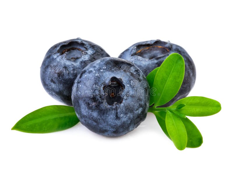 Three Blueberries Isolated on White Stock Photo - Image of healthy ...