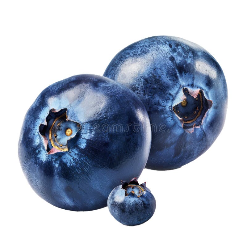 Three Whole Blueberries Forming a Triangle on a White Background Stock ...