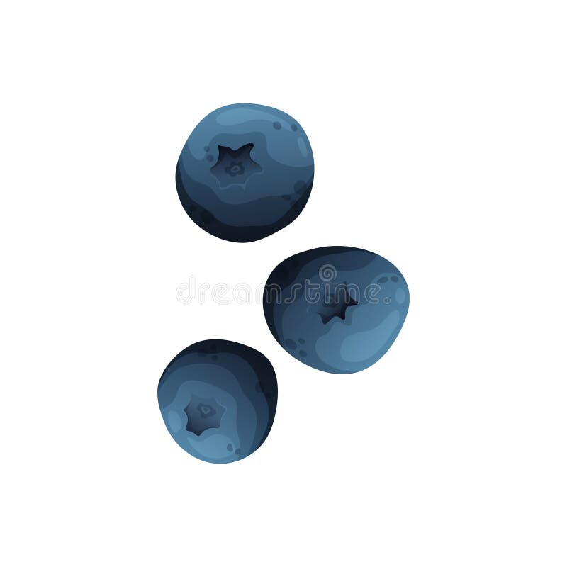 Three Blueberries in a Minimalist Style, Fresh and Delicious Fruit ...