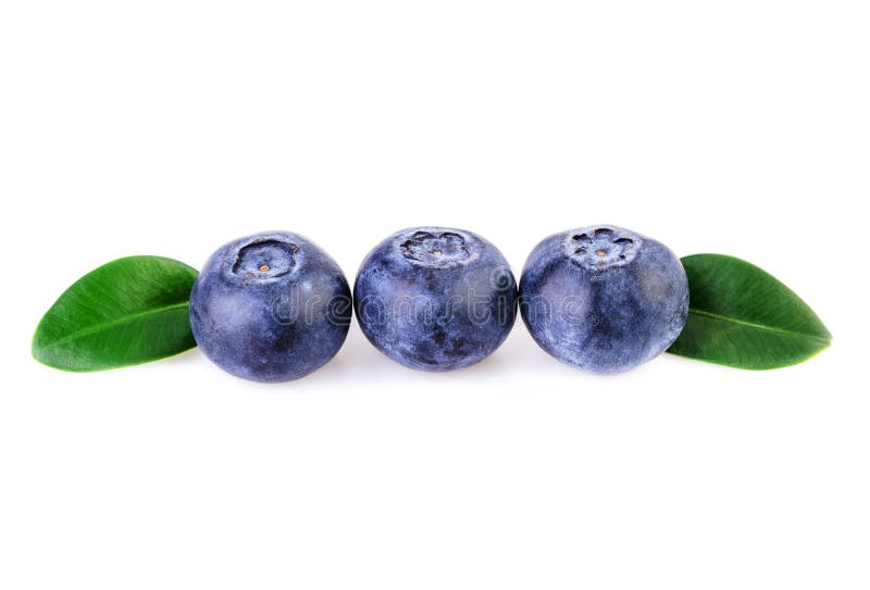 Three Blueberries in a Row Straight Line Isolated on White Stock Photo ...