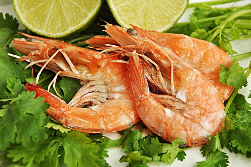 King prawns stock photo. Image of dish, lettuce, nutrition - 18726722