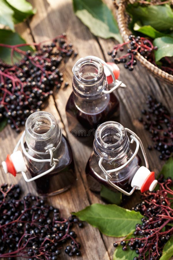 Three Bottles of Black Elder Syrup with Fresh Elderberries and Leaves ...