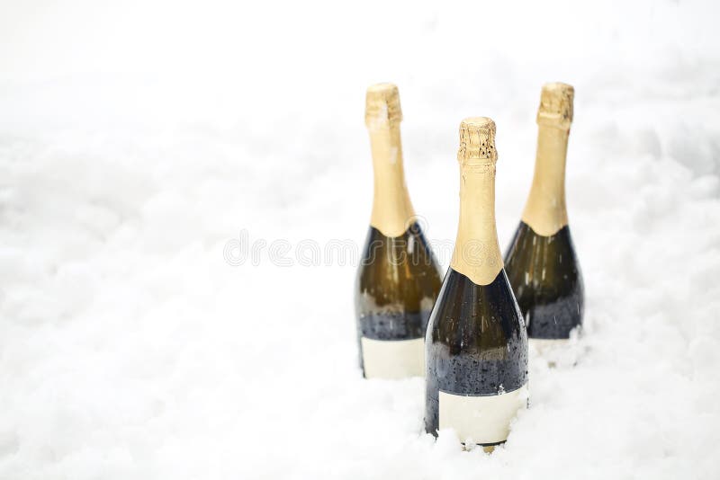 Champagne on snow. stock photo. Image of winter, tree - 7608296