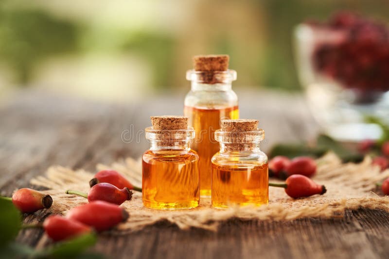 Three Bottles of Rose Hip Seed Oil with Fresh Rosehips on a Table Stock ...