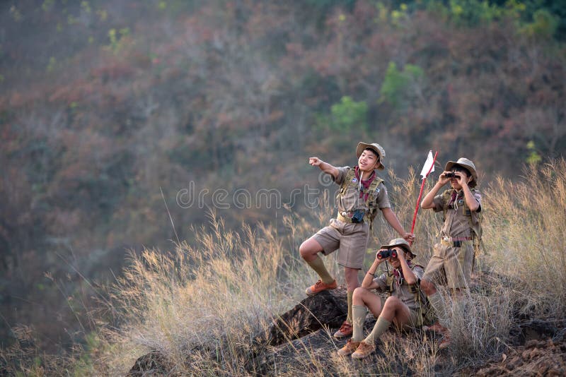 Three Boy Scouts Exploring Nature Stock Photo - Image of examining ...