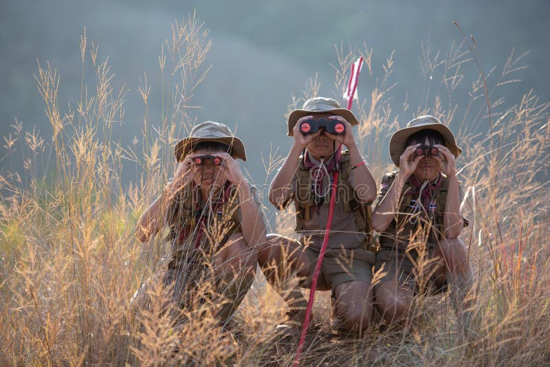 Three Boy Scouts Exploring Nature Stock Image - Image of camping, honor ...