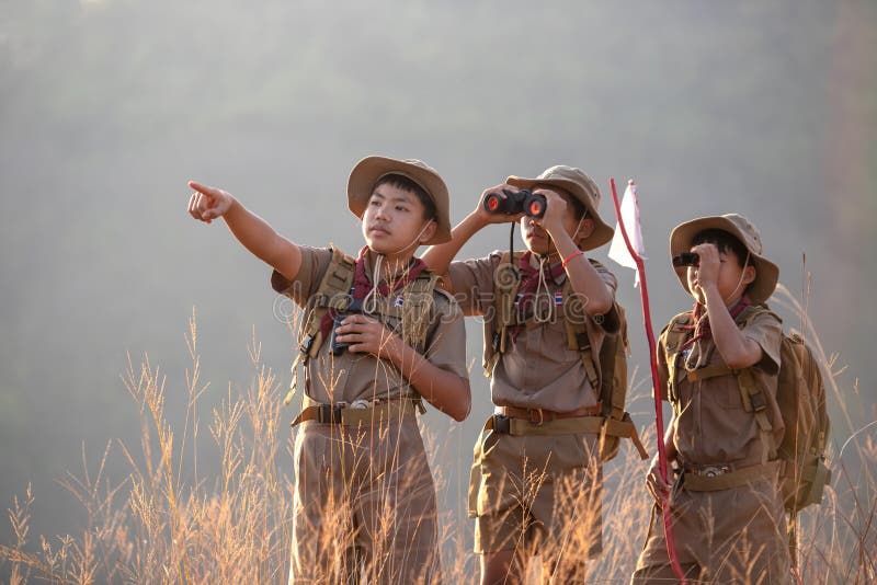 Three Boy Scouts Exploring Nature Stock Photo - Image of camp ...