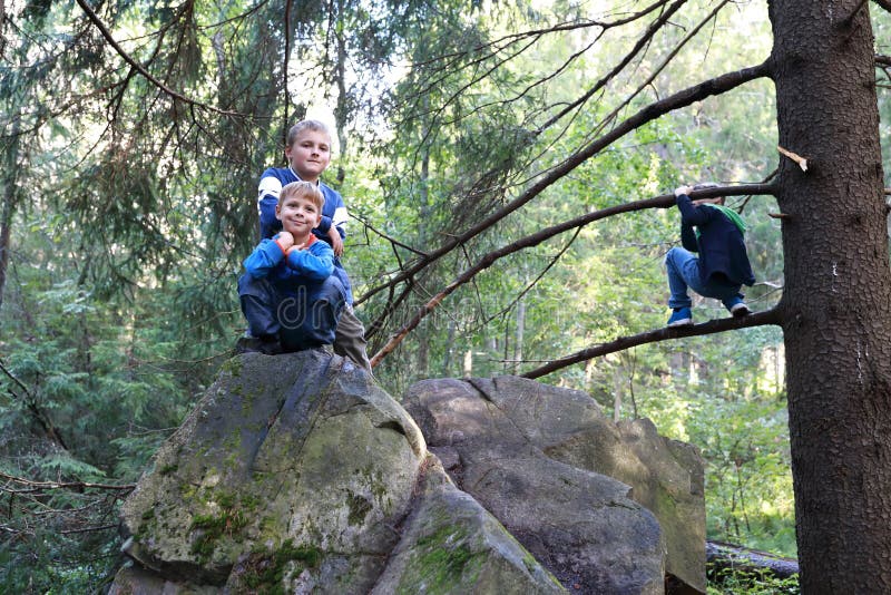 Three Boys Playing in Pine Forest Stock Photo - Image of childhood ...