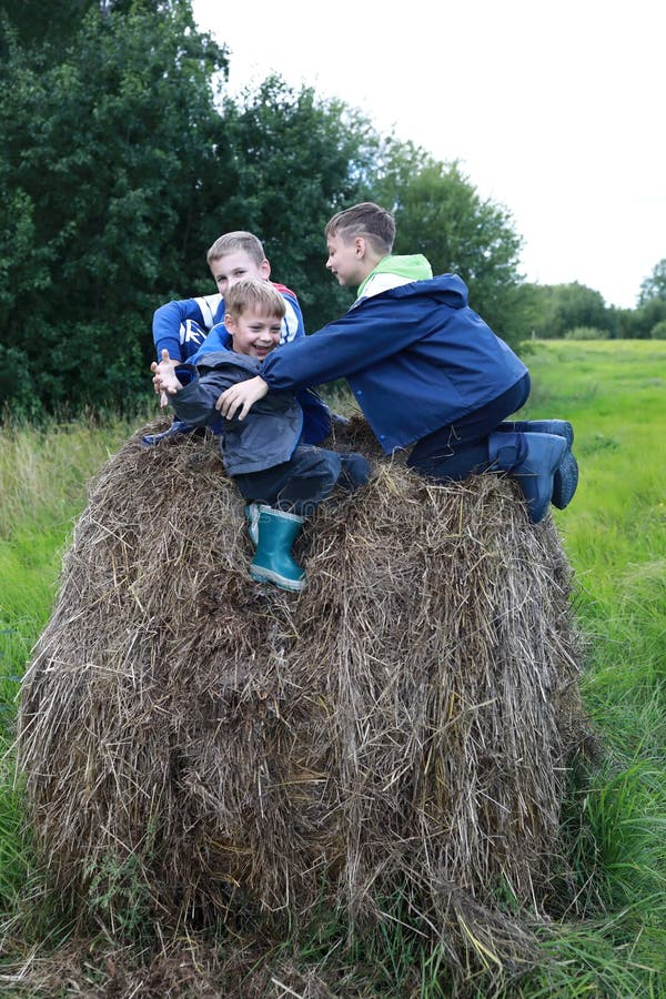 Three Boys Playing on Stack of Straw Stock Image - Image of child ...