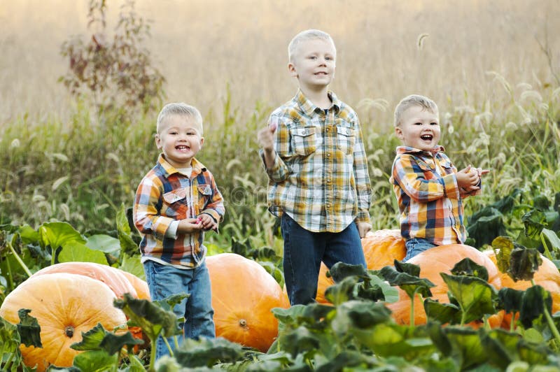 Three Boys Pledge Allegiance To the American Flag Stock Photo - Image ...