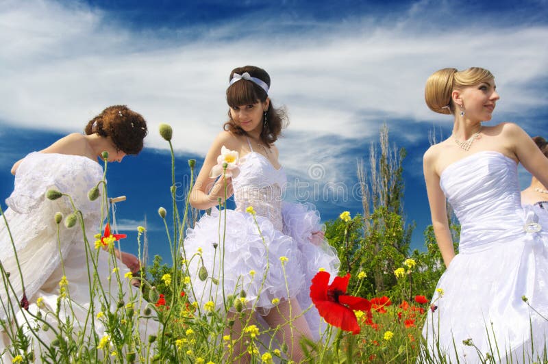 Joyful bride stock photo. Image of isolated, femininity - 18112686