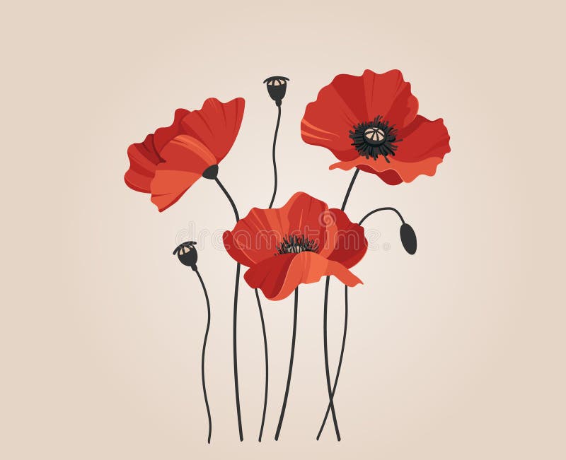 Three Bright Red Poppies on a Neutral Beige Background, Creating a ...