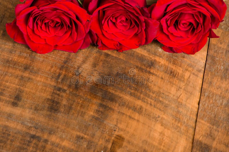 Three Bright Red Roses on Table Stock Photo - Image of february ...
