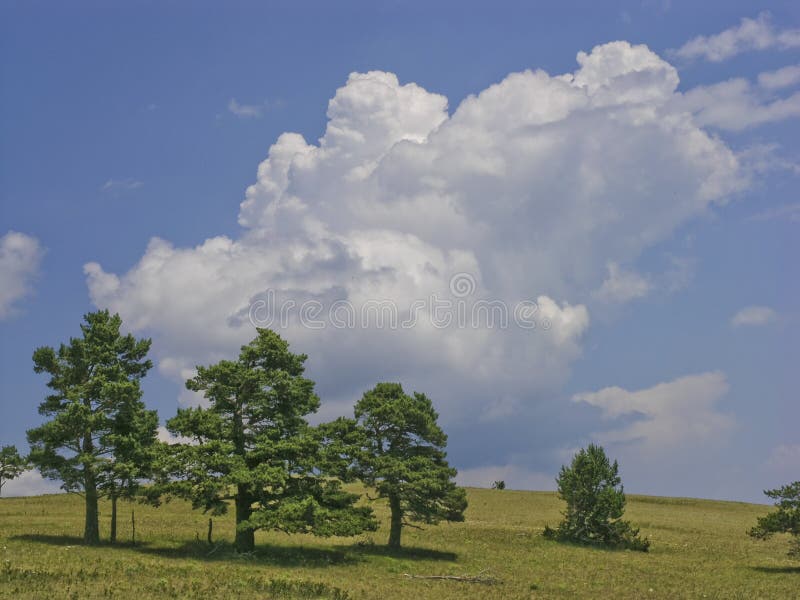 Three brothers stock photo. Image of field, yellow, blue - 5537306