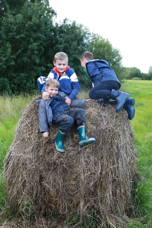 Three Brothers Playing on Stack of Straw Stock Photo - Image of ...