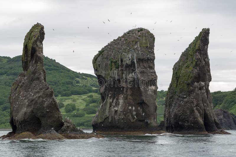 Three Brothers Rocks in Avacha Bay Kamchatka Stock Image - Image of ...