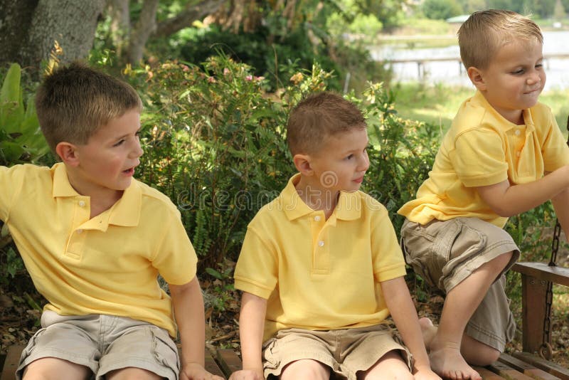 Three Brothers on the Swing Stock Photo - Image of friends, kids: 14238434
