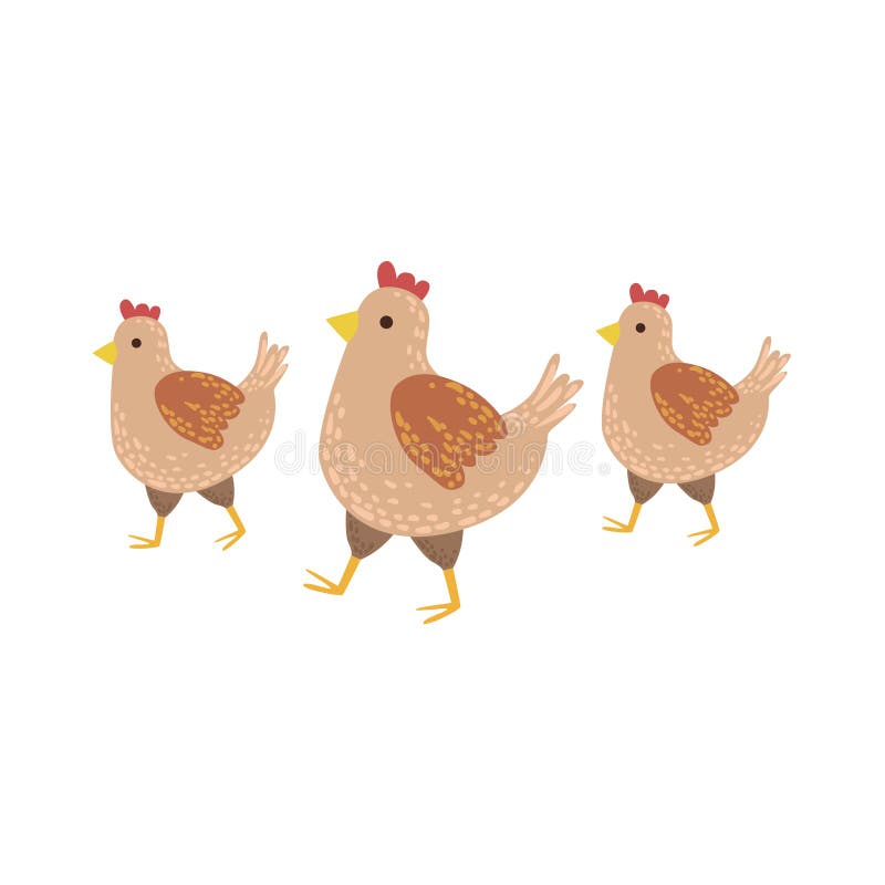 Funny Cartoon Chicken With Chickens Walking On Stock Vector ...