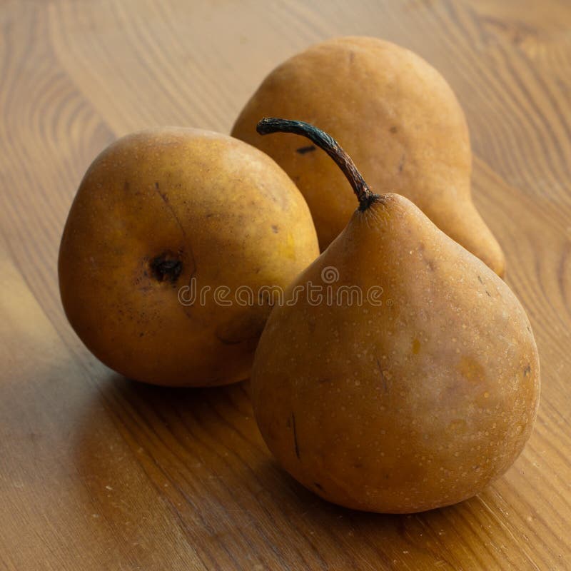 Three brown pears stock photo. Image of ripe, vegetarian - 25580928