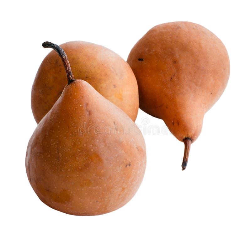 Three brown pears stock photo. Image of healthy, isolated - 25580932