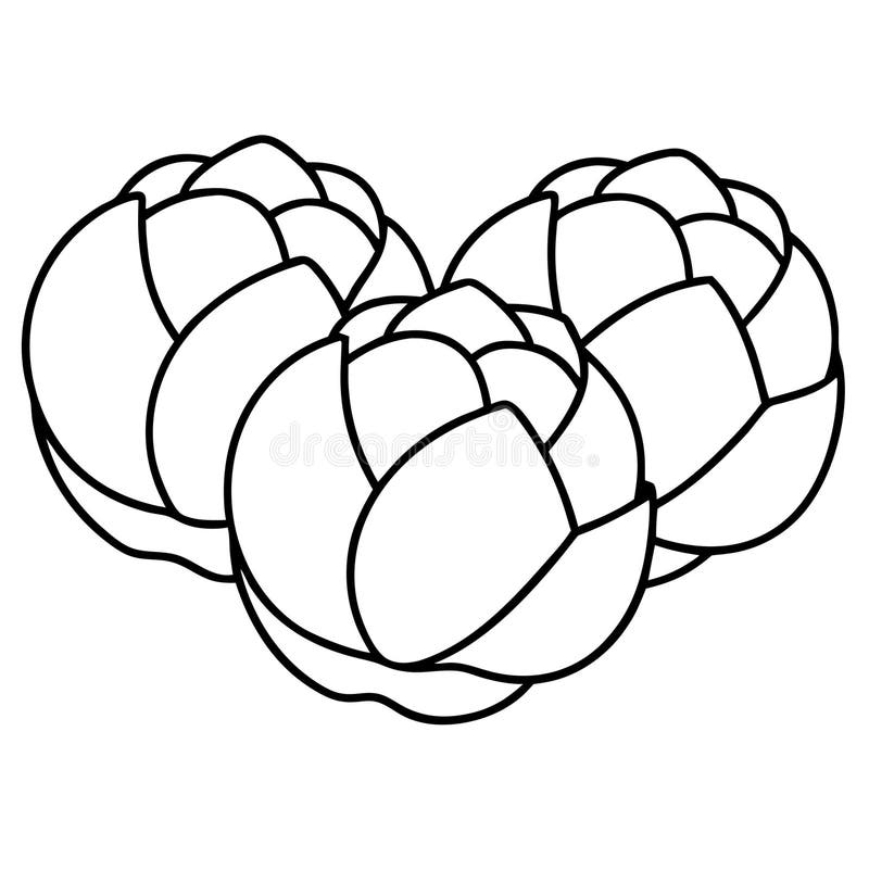 Three Brussels Sprout are Shown in a Black and White Drawing Stock ...