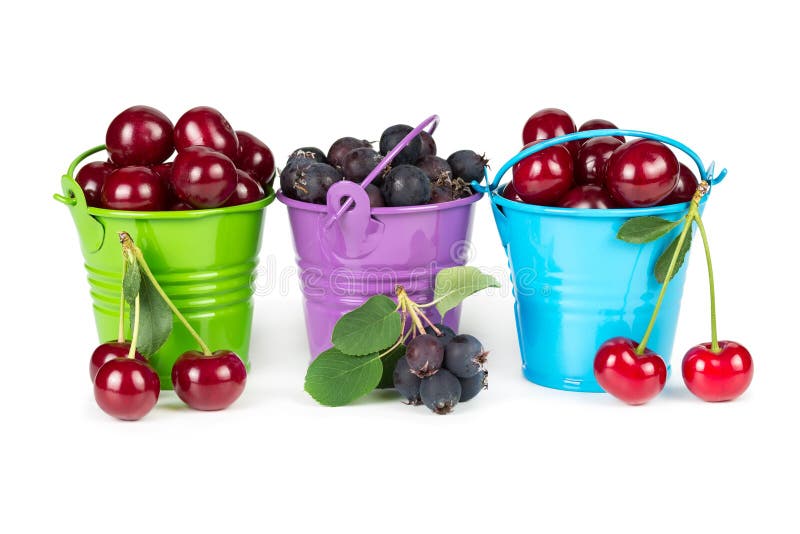 Three buckets with berries stock image. Image of group - 31777413