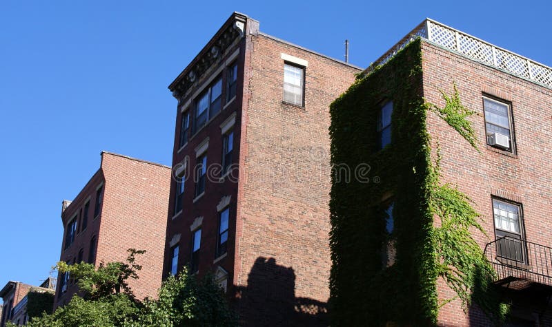 4,585 Ivy Buildings Stock Photos - Free & Royalty-Free Stock Photos ...