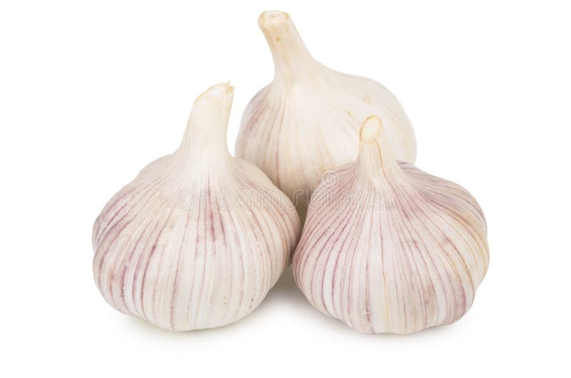 Three Bulb of Garlic Isolated on White Stock Photo - Image of white ...