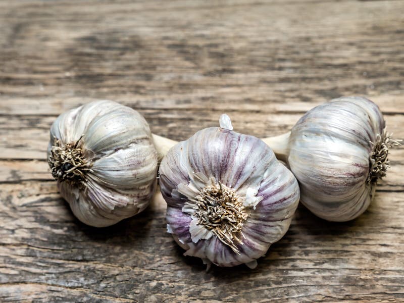 Three bulbs of garlic stock photo. Image of spicy, cloves - 161006850