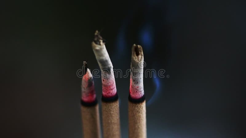 Thai joss sticks stock video. Video of scented, ritual - 230238821