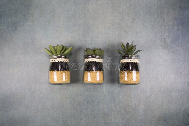 Three Cacti on Grey Background, Composition. Stock Image - Image of ...