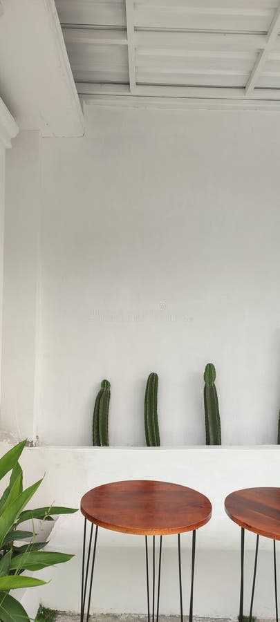 Three Cacti Leaning Against a Solid Wall Stock Image - Image of three ...