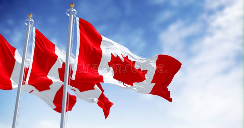 Three Canada National Flags Waving in the Wind on a Clear Day Stock ...