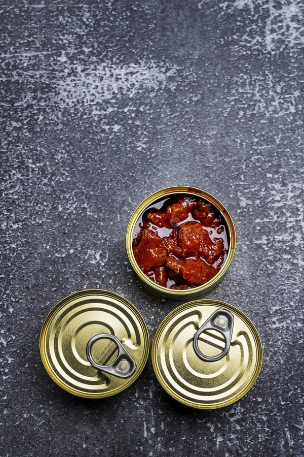 Metal Canned Fish Cans of Different Types on a Smooth White Surface ...