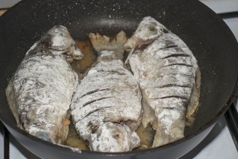 Three Carp Fish are Fried in a Pan. Stock Image - Image of frying, fish ...