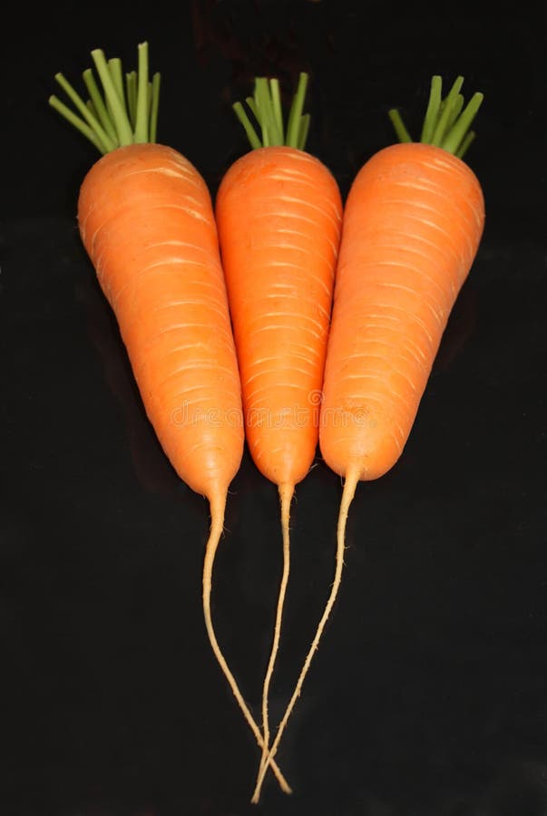 Three Carrots stock photo. Image of carrots, exhibition - 12076112
